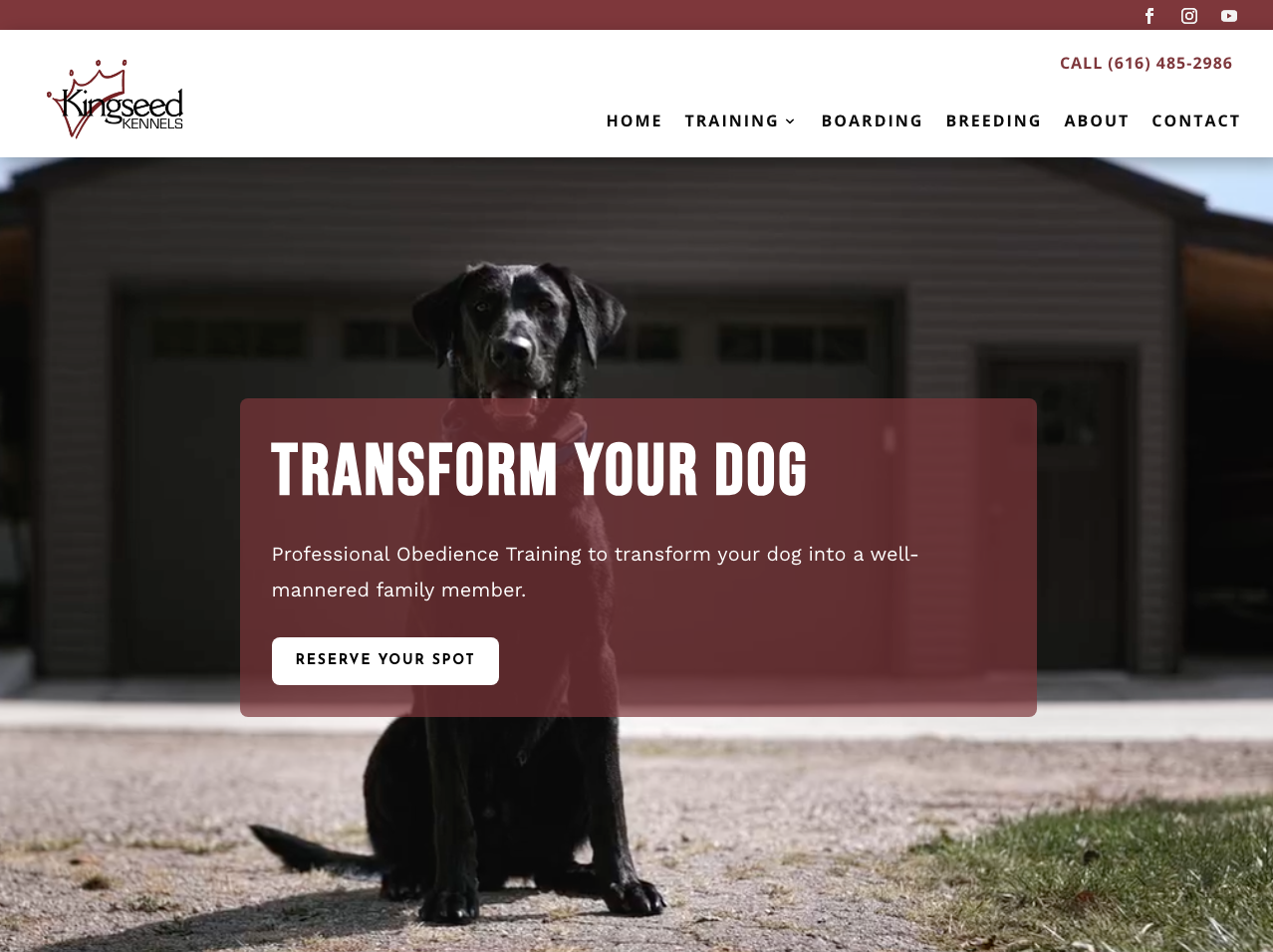 Professional Dog Training & Boarding | Kingseed Kennels